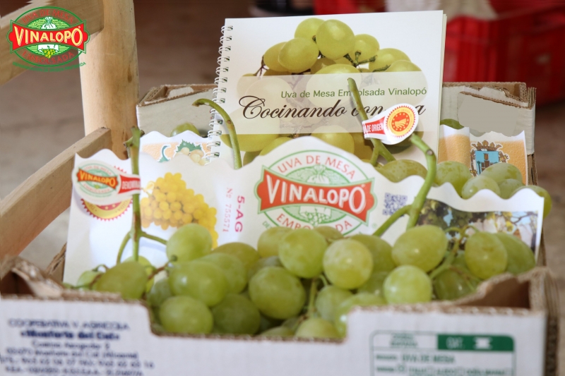 La tradición de las 12 uvas de la suerte - Visita Valencia